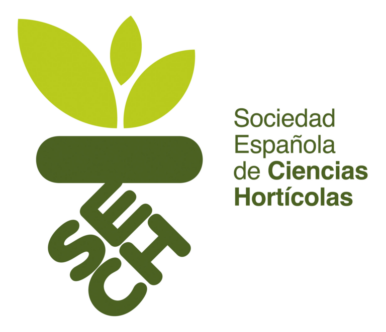 Programa – SECH VLC 2025
