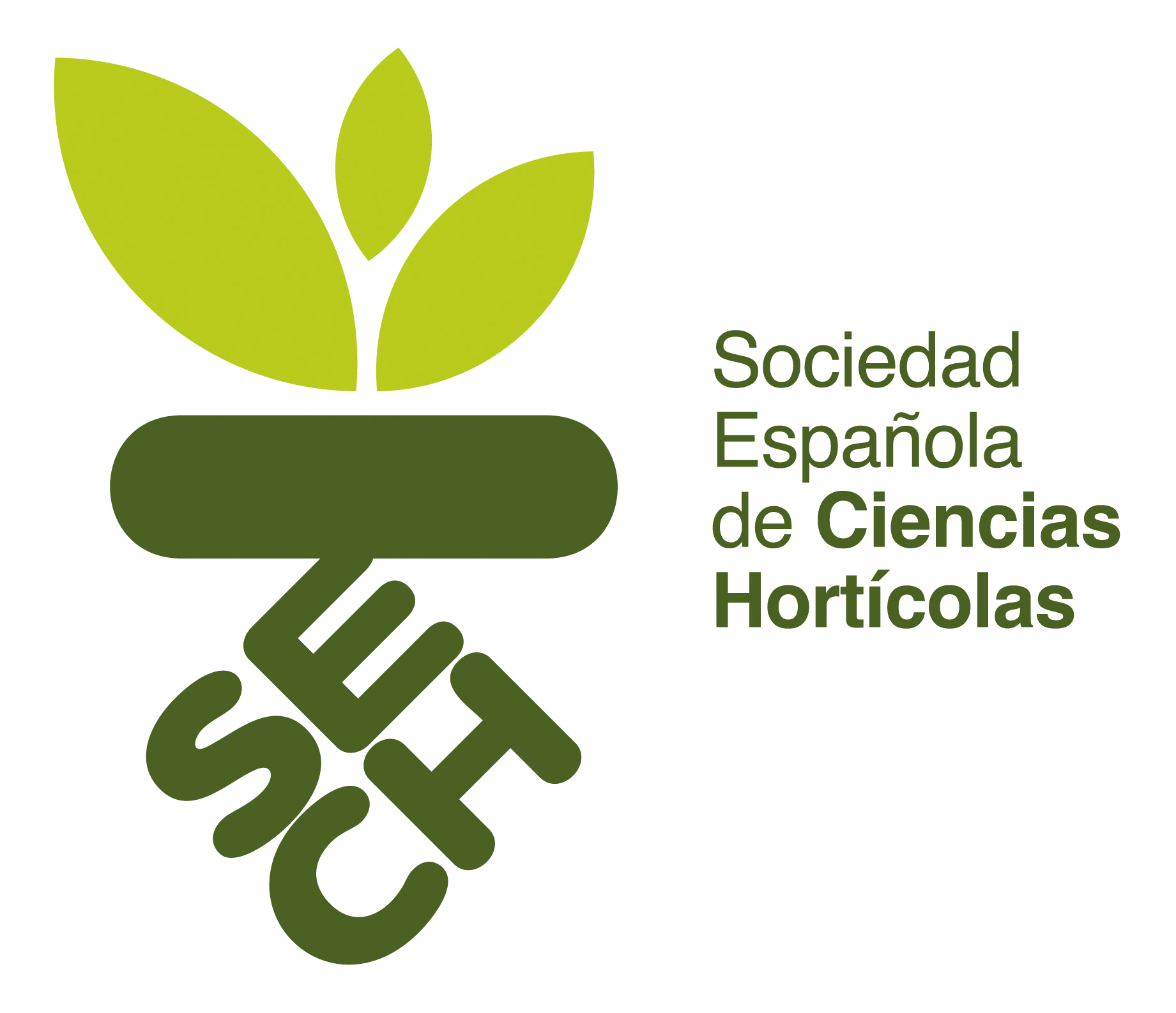 Programa – SECH VLC 2025