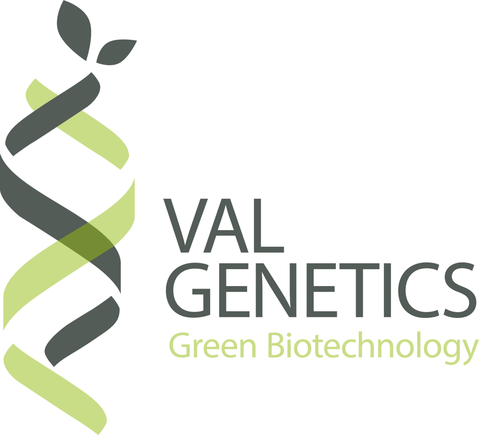 Programa – SECH VLC 2025